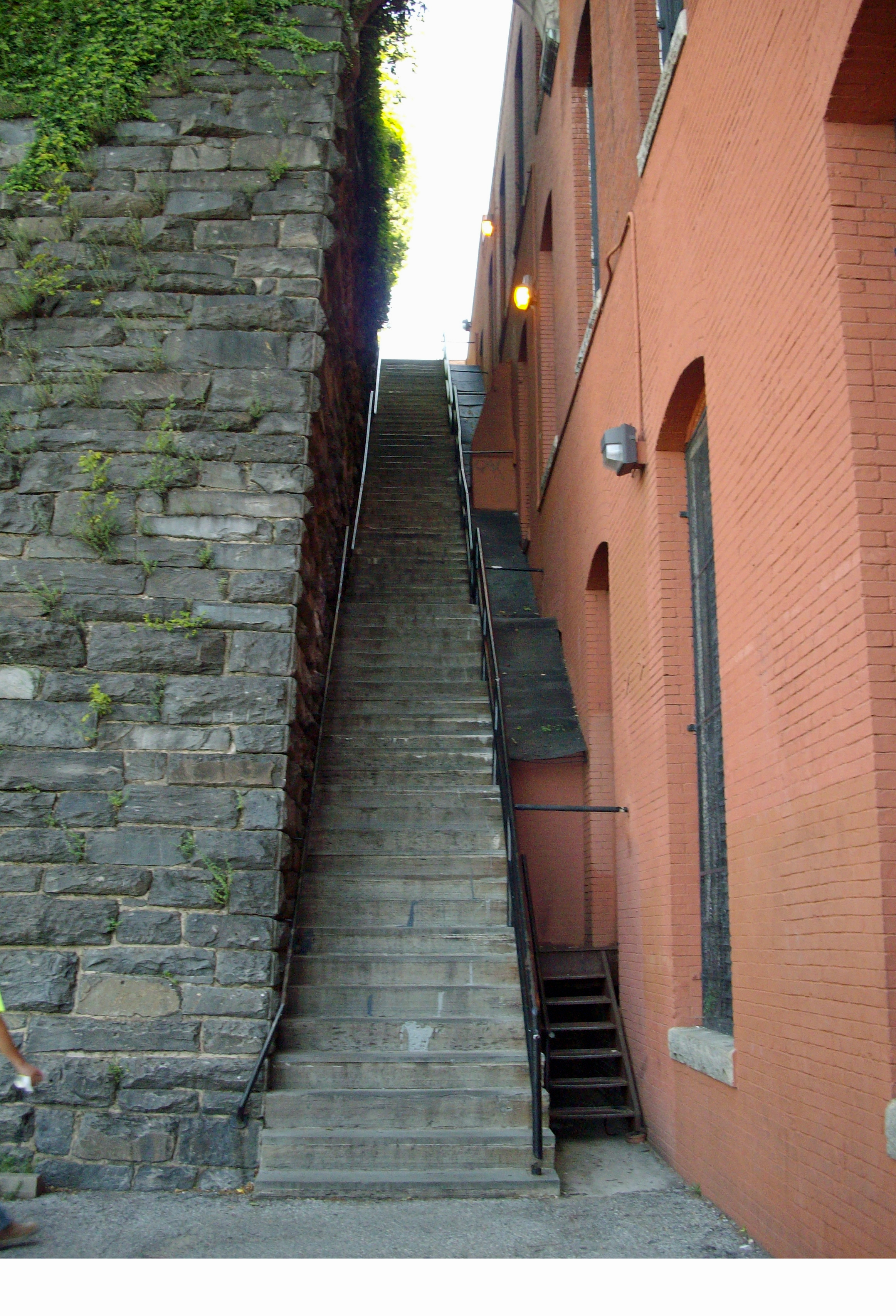 Climbing the Exorcist Steps – Rick Snider's Washington